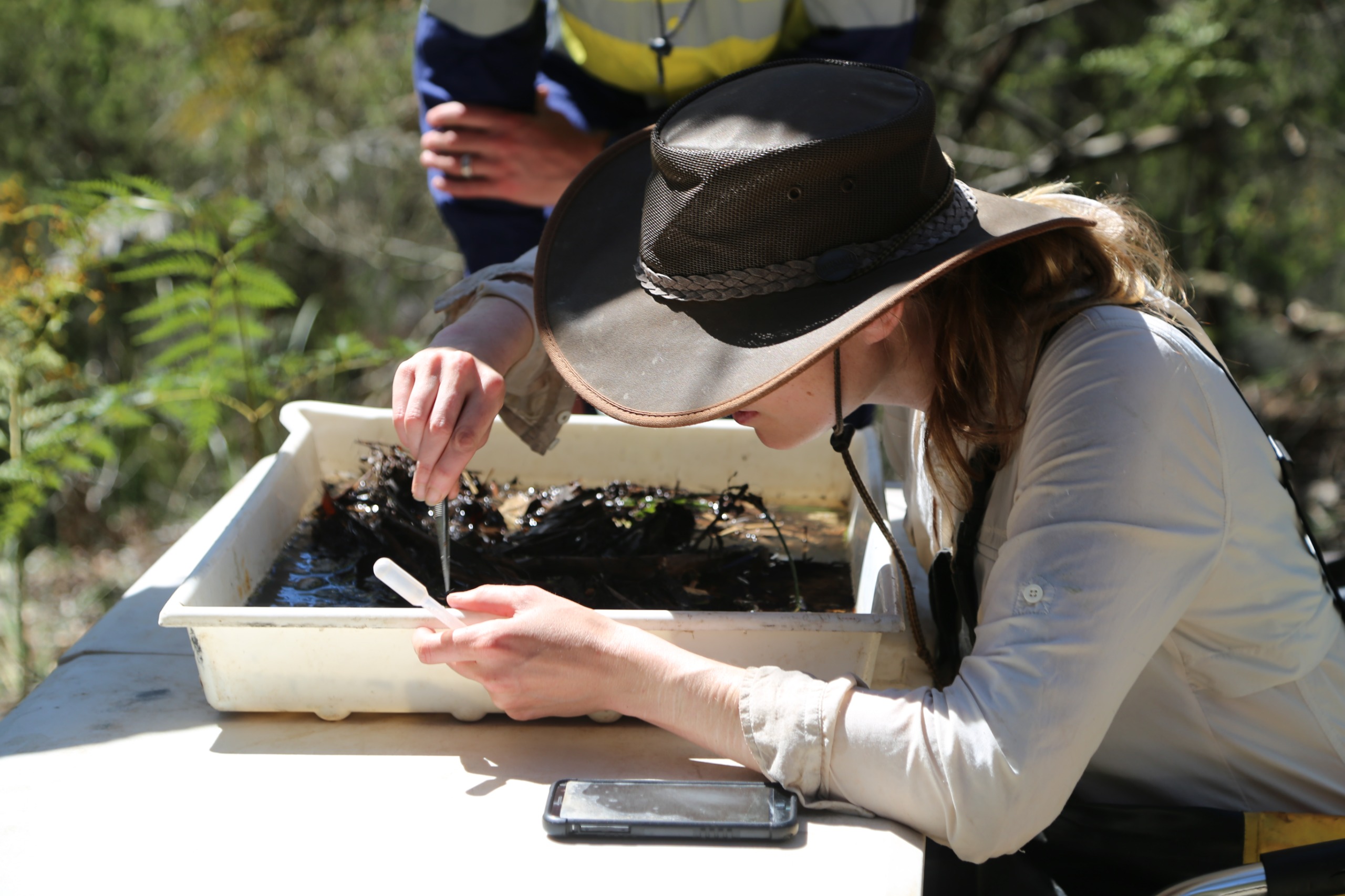 2024 spring monitoring program now complete | Anglesea borefield | Your ...