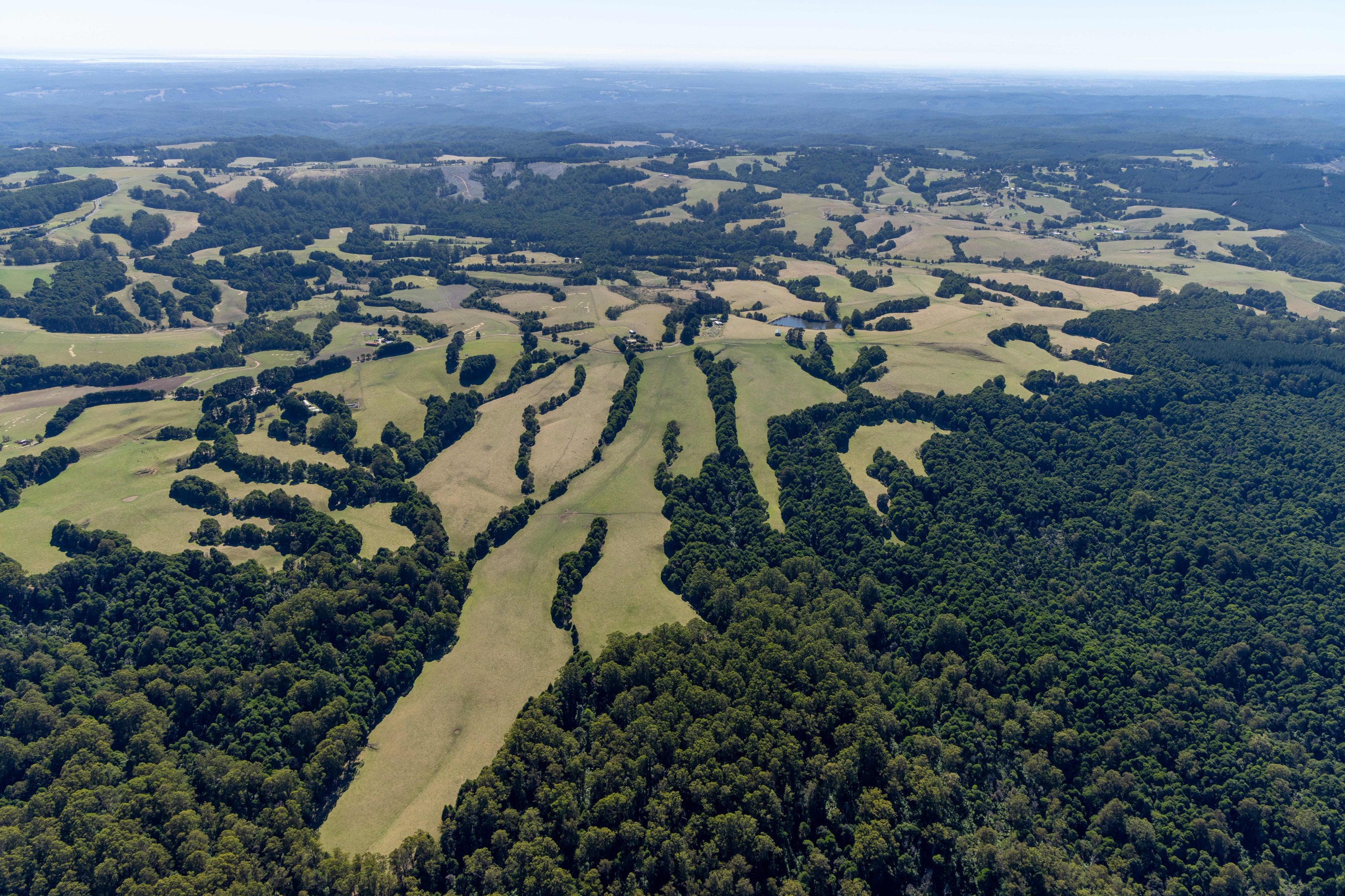 Aire River catchment restoration | Your Say Barwon Water